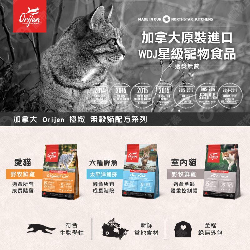 ORIJEN極緻 歐睿健 六種鮮魚 無穀全齡貓配方