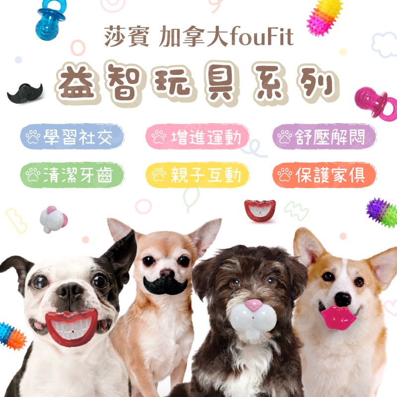 莎賓 fouFIT 益智玩具